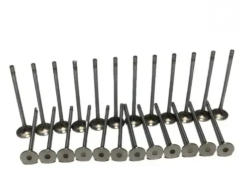 Caterpillar 3406E, C15, 3456, C16, and C18 Inconel Valves